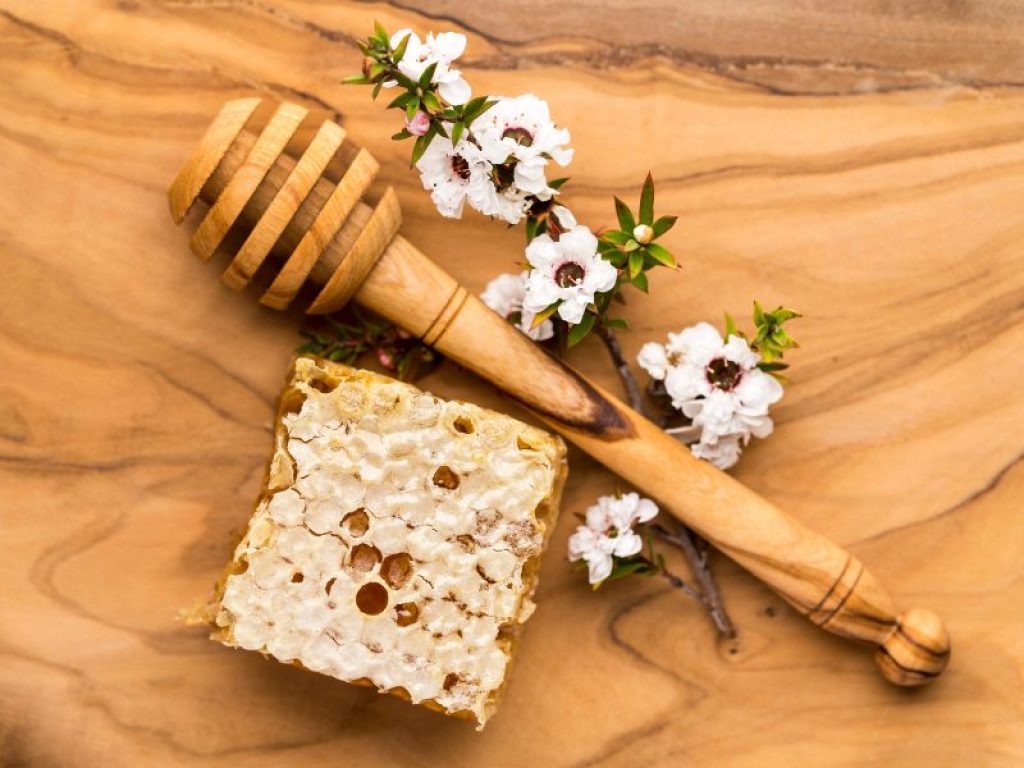 Honig für Kinder? Ab dem ersten Lebensjahr dürfen Kinder Honig essen ...